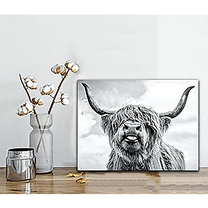 Highland Cow Canvas Print Black and White Highland Cow Wall Art Farmhouse Wall Decor Longhorn Highland Cattle Picture Stretched and Framed Ready to Hang for Living Room Bathroom Decor 12x16inch for fengyuyi