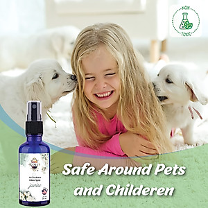 Jasmine Air Freshener - Room Spray - Odor Eliminator - Deodorizer - Car Air Freshener - Home Spray - Linen Spray - Fabric Refresher - Non-Toxic - Alcohol Free – 4 Oz