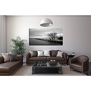 DZL Art S74950 Gray Canvas Prints Modern Minimalist Black and White Lake Trees Landscape Wall Art Painting for Living Room Bedroom Decor Office Wall Decor Home Decoration