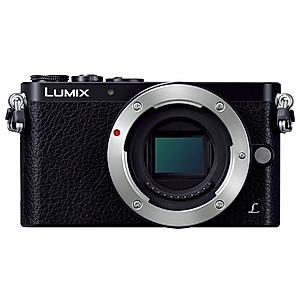 Panasonic Digital Spiegelreflex Kamera Lumix GM1 Lens Kit Standard Zoom Objektiv kommt mit schwarz dmc-gm1 K-k [International Version, ohne Garantie]