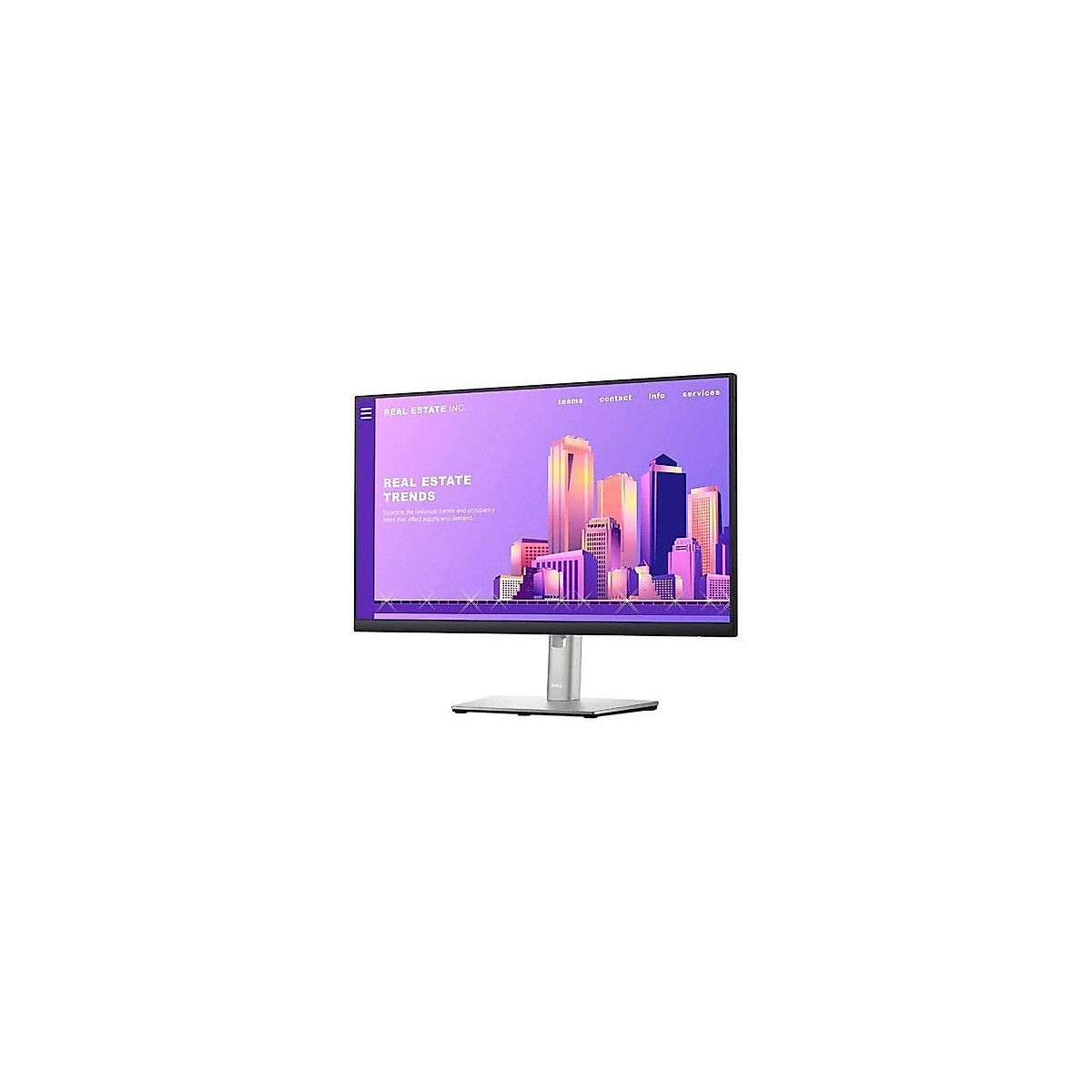 Dell 24 Monitor - P2422H - Full HD 1080p, IPS Technology, ComfortView Plus Technology