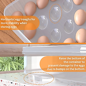 77L Deviled Egg Containers with Lid, (Set of 2), Plastic Egg Holder for Refrigerator for 48 Eggs, Clear Storage Deviled Egg Carrier Tray, Fridge Stackable Countertop Portable Egg Dispenser