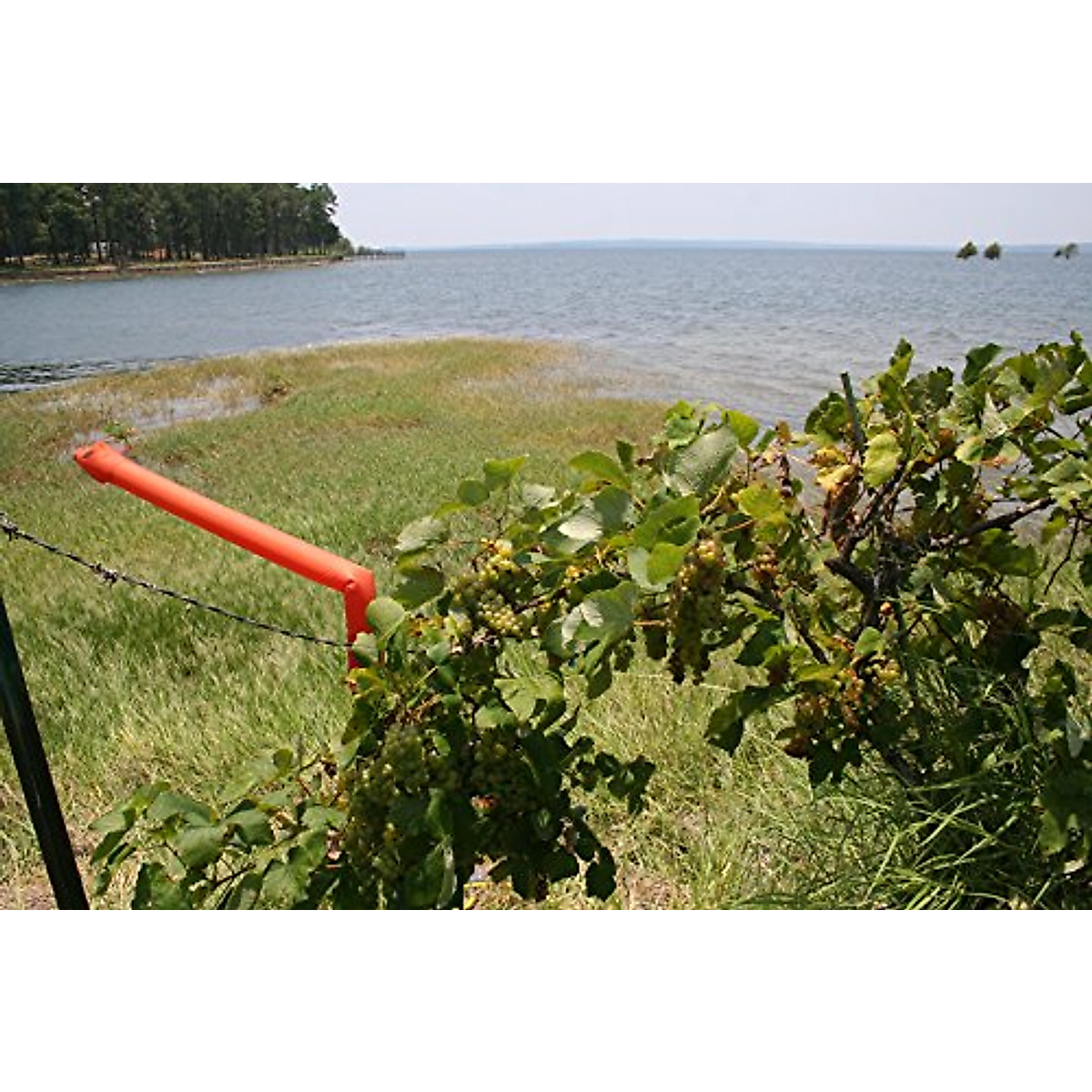 AirCrow Inflatable Scarecrow Blower, 1/4 HP