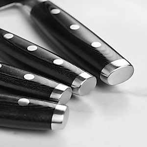 Enso Knife Set - Made in Japan - HD Series - VG10 Hammered Damascus Japanese Stainless Steel with Slim Knife Block - 5 Piece