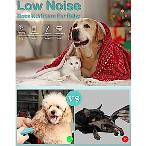 lexflext Dog Grooming Clippers, Dog Paw Trimmer with Detachable Ceramic Blade for Trimming Small Areas of Pet's Hair, Low Noise Paw Grooming Shaver for Cat's Eyes Face Ears Paws (Blue)