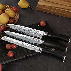 YOUSUNLONG Knife Set Block - 5pcs Kitchen Knives Set with Natural Acacia wood Holder - Japanese Hammered Damascus Steel Blade - Natural Ebony Handle with Gift Box