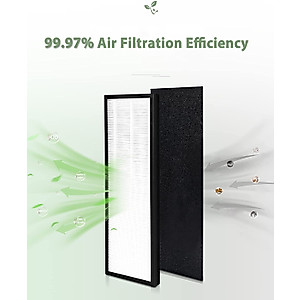 2-Pack Replacement Filter