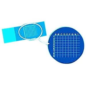 RPI Microscope Grid Slides, 1 x 3 inches, White Imprint, 81 Squares per Slide, 72 Slides per Package, Stain Resistant