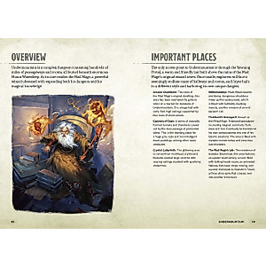 Dungeons & Tombs (Dungeons & Dragons): A Young Adventurer's Guide (Dungeons & Dragons Young Adventurer's Guides)