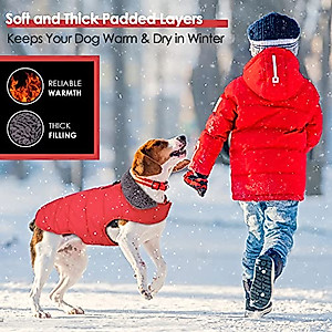 AOFITEE Dog Coat, Winter Dog Jacket Windproof Fleece Cold Weather Coats for Dogs, Warm Dog Winter Vest with Collar & Zipper Leash Hole, Outdoor Pet Apparel for Small Medium Large Dogs, Red 3XL