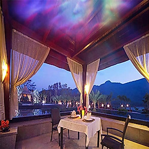 Wisely Christmas Projector Laser Lights, Led Waterproof Christmas Laser Lights Landscape Spotlight Red and Green Star Show Decorative for Bedroom Outdoor Garden Patio Wall Holiday Party