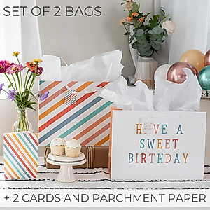 Beautiful Birthday Gift Bags Set of 2 - Large 14.5" Bags with Handles incl. Matching Tissue Paper, Cards & Stickers - Reusable and Perfect For Presents of Any Girls/Boys Kids Party & Special Occasion