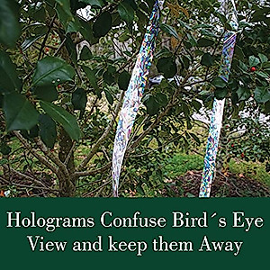 DALEN Holographic Scare Reflective Tape – Bird Deterrent Tape with Metallic Noise Feature, Broad Application and Easy to Use Bird Scare Ribbon (3/4" x 100') - 1 Roll