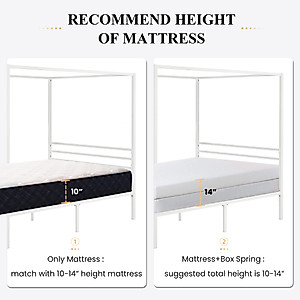 SHA CERLIN Metal Canopy Bed Frame Full Size/Mattress Foundation with Metal Slats Support/No Box Spring Needed/Easy Assembly/White