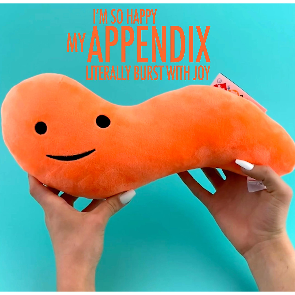 I Heart Guts Appendix Plush - Feel It In Your Gut - 14" Stuffed Organ Plush Toy, Appendix Removal Get Well Gifts, Ideal for Appendicitis, Kids, Nurses, Medical Students,Surgery