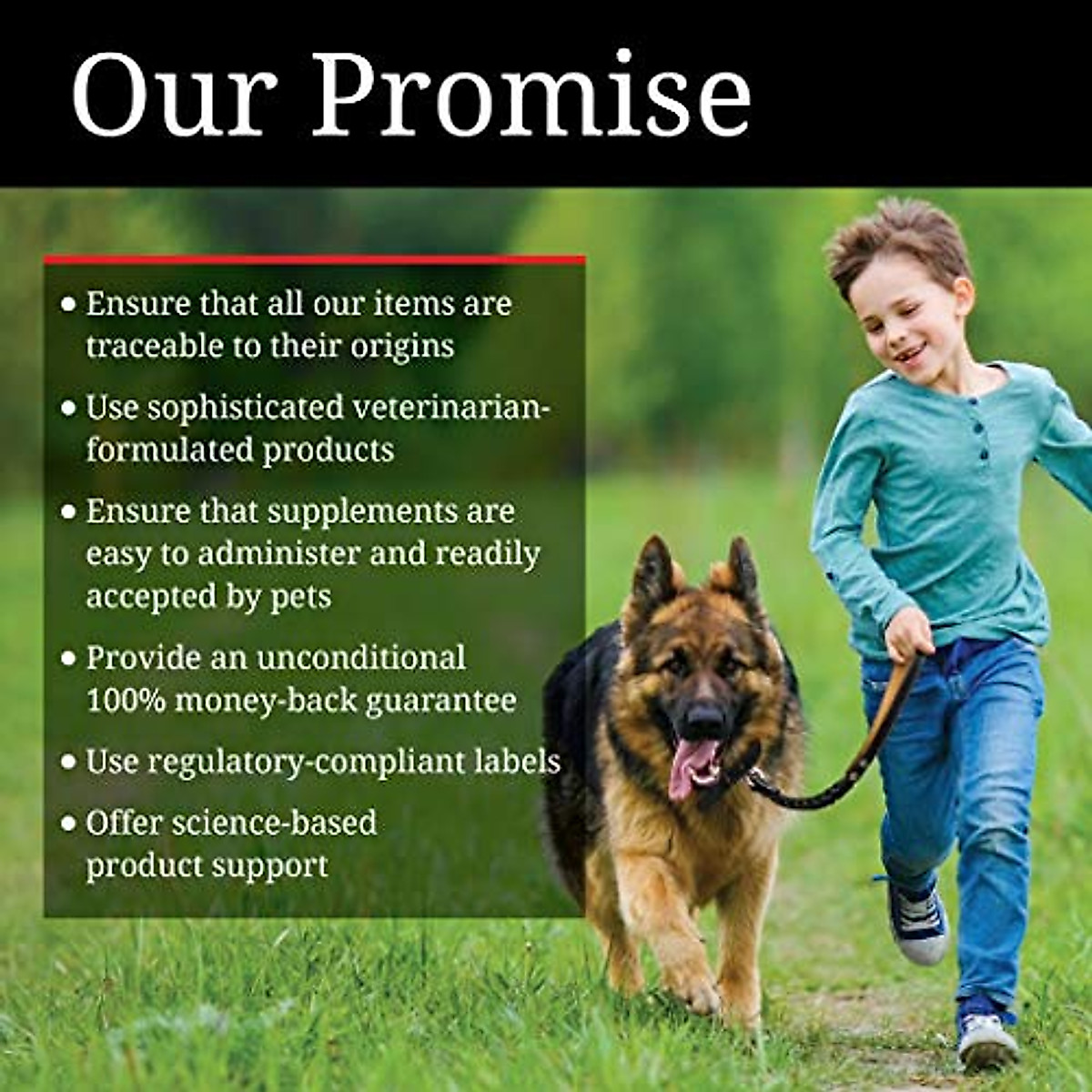 Nutri-Vet Aspirin for Dogs | Medium to Large Dogs | 300mg | 75 count