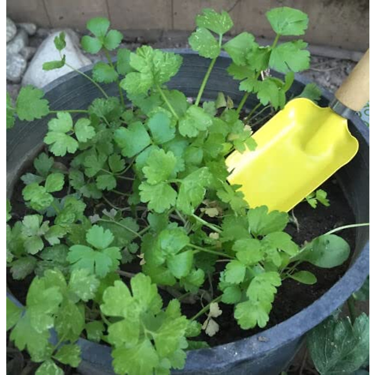 Kid Gardening Tool Shovel Yellow Garden Snow Sand Shovel for Kids 5pcs