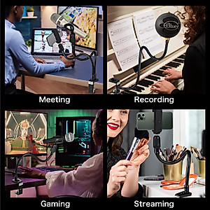 Desktop Mic Stand 13" Flexible Gooseneck Microphone Stand Desk Universal Microphone/Phone Stand Holder with Heavy Duty Desk Clamp, Mic Clip, 3/8" to 5/8" Screw Adapter for Blue Yeti, Shure, Other Mic