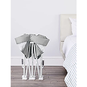 Regalo My Crib Portable Infant Bassinet, Includes Design Padded Insert, Travel Carry Bag, Support Tubes, Step Safety Locking Mechanism