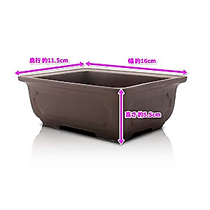 Yokkaichi Banko Yaki Bonsai Pot Ceramic Rectangle Window Shaped Decorations Noglazed (6.5")