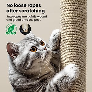 SVD.PET Cat Scratching Post Replacement, 17” x 2.95” Jute Rope Cat Tree Replacement Post, Refill Scratcher Posts with M8 Screws for Indoor Cat Tree, Cat Tower and DIY Cat Scratcher (2PCS)