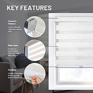 CHICOLOGY Zebra Roller Shade, Cordless, 35'W x 72'H, Polyester Blend, Basic Natural