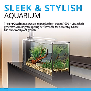 Fluval SPEC Aquarium Kit, Aquarium with LED Lighting and 3-Stage Filtration System, 5-Gallon