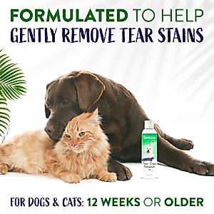 TropiClean Warm Vanilla Tear Stain Remover for Dogs | Tearless Blueberry Facial for Dogs | Ideal for White Dogs & All Other Coats | Cat Friendly | Made in the USA | 8 oz.