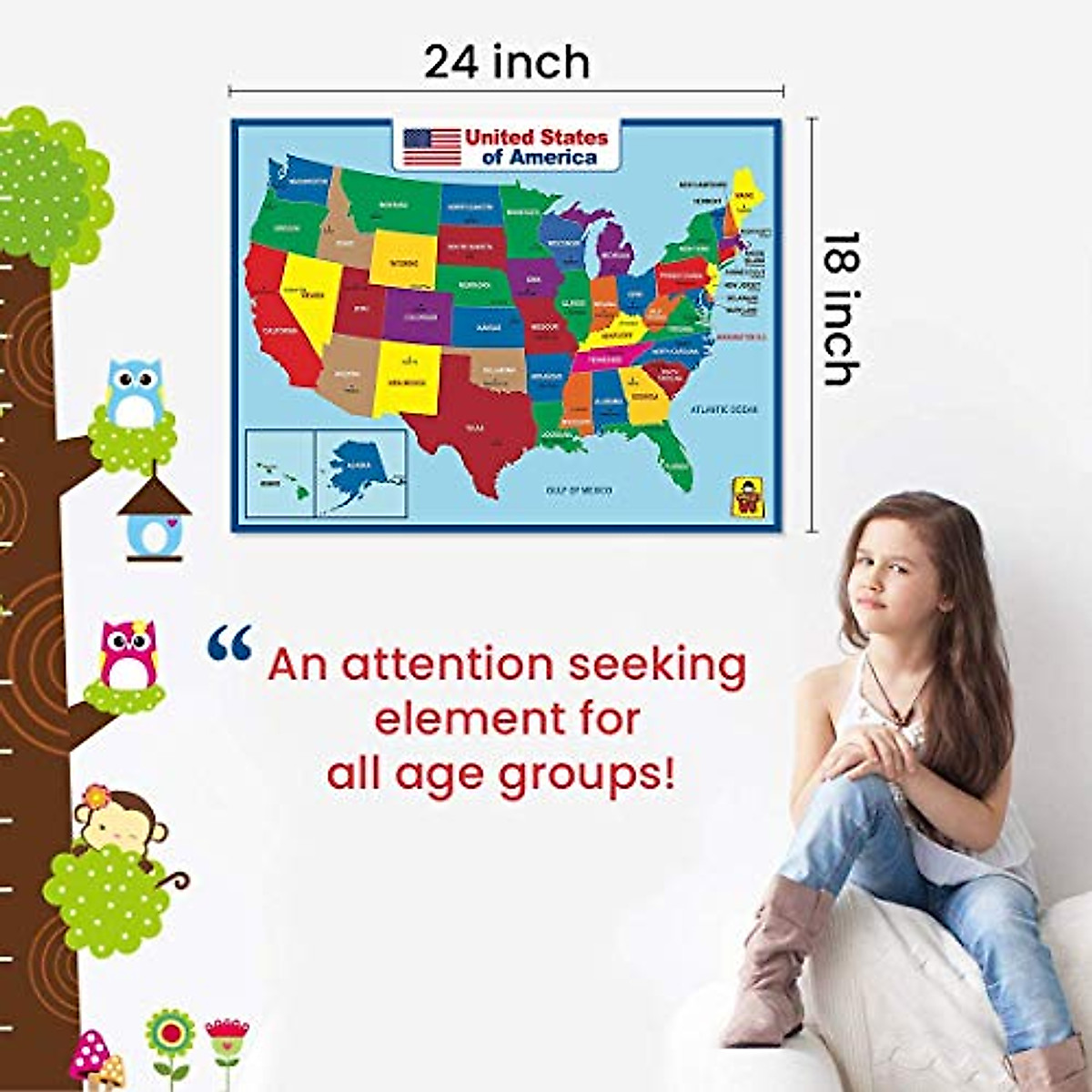 Laminated US Map Poster | Educational & Waterproof - 18x24"