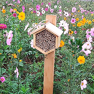 Mason Bee House Native Bee Hive Hexagon Bee House Natural Handmade Wooden Mason Bee Box Habitat Home Hotel with Bamboo Tubes -Attracts Peaceful Bee Pollinators to Enhance Your Garden's Productivity