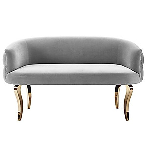 Tov Furniture The Adina Collection Contemporary Living Room Velvet Upholstered Loveseat, Grey with Gold Legs