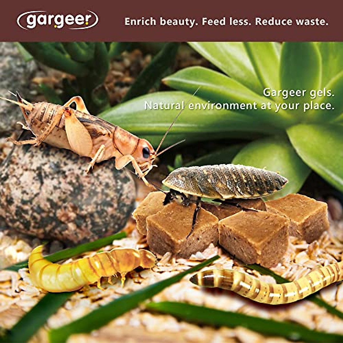 Gargeer Bugs and Insects Food. Complete Gel Diet for Roaches, Crickets, Worms, Dubia, Fly, etc. Made in The USA, Using Premium Nutritional Ingredients. 3oz Powder Turns into 1 Pound of Ready Food.