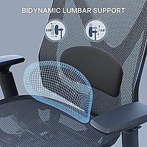 HUANUO Office Chair, Ergonomic Mesh Office Chair, Computer Chair with 2-Way Adjustable Lumbar Support, Headrest and Armrest, High Back Desk Chair with Tilt Lock Function