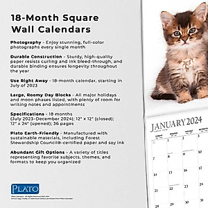 Happy Kittens | 2024 12 x 24 Inch 18 Months Monthly Square Wall Calendar | Foil Stamped Cover | July 2023 - December 2024 | Plato | Animals Cats Feline