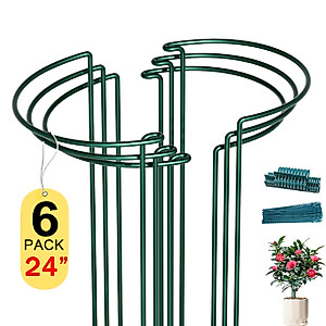 SYITCUN 6 Pack Peony Cages and Supports, 10" (W) x 24"(H) Plant Support, Rust-Proof Metal Plant Support Stakes for Outdoor&Indoor Plants, Bonus 20 Plant Clips and 20 Plant Ties