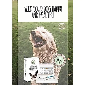 Allergy Test My Pet Dog Sensitivity and Intolerance Testing Kits Home Sample Collection Kit for Dogs Allergy