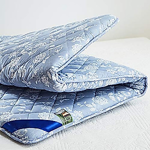 WJH Thicken Bamboo Charcoal Fiber Mattress, Japanese Futon Sleeping Pad Mattress Topper Tatami Floor Mat Soft Comfortable Double-C 120x200cm(47x79inch)