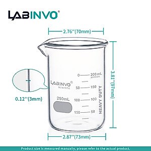 LABINVO Heavy-Duty Glass Beaker Set, 10pcs of Vol.250ml, 3.3 Borosilicate Glass, Thickened Beakers, with Double Scale, IN-HBK250B