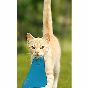 CatBib - Saves Birds, Protects Cats (Small, Turquoise)