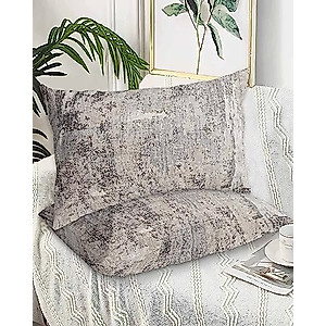 Edwiinsa Beige Wall Pillow Covers King Standard Set of 2 Bed Pillow, Farmhouse Vintage Shabby Wall Abstract Art Plush Soft Comfort for Hair/Skin Cooling Pillowcases with Envelop Closure 20''x36''