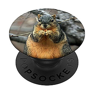 Cute Squirrel Eating Nuts Animal Lover Gift PopSockets Grip and Stand for Phones and Tablets