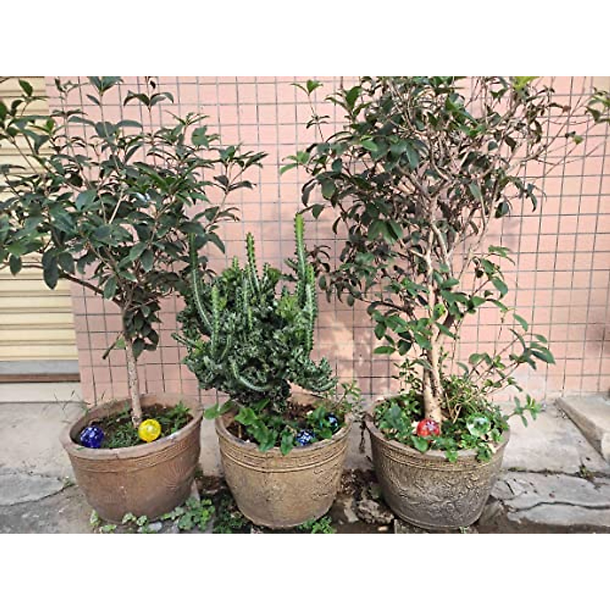 Ritadeshop Plant Watering Globes Self Watering Planter Insert Water Globes for Plants