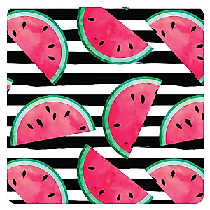 BapronBaby Summer Stripes Watermelon Wet Dry Bag - Waterproof Two Zipper Pockets - Reusable for Mealtime, Diapers, Stroller, Snacks, Swimsuits - Machine Washable - 11" x 9"