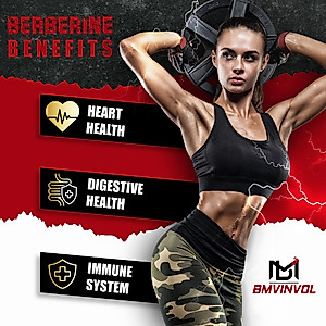 2 Pack Berberine HCl- Plus Ceylon Cinnamon, Turmeric, Milk Thistle, Artichoke, Black Pepper, Berberine HCI Root Supplements Pills - Immune System