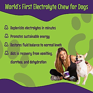 Pawlific Electrolyte Chews for Dogs- Superior Pet Hydration Support, Anti-Diarrhea, and Dog Vitamins | All-Natural Ingredients, Made in the USA | 3-Month Supply for Active Dogs
