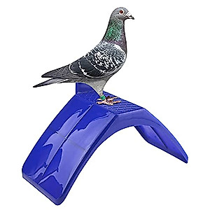 XINMEIWEN 10Pcs Pigeon Perch Bird Stand Bird Rest Roost for Outside Plastic Heat Resistance Dove Rest Stand Holder Supplies (Without Wood)