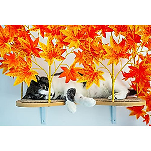 On2Pets Cat Shelves Wall-Mounted Cat Trees Cat Furniture for Climbing, Playing and Relaxing, Set of 2, Indoor Cat Shelf Made in USA… (Orange Blaze, Rectangle)