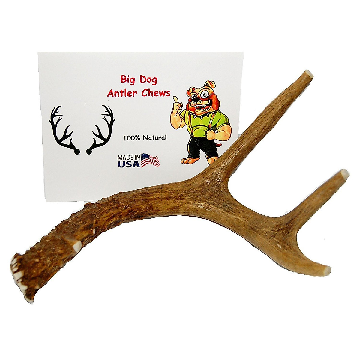 Small Whole Deer Antler Dog Chew, For Small to Medium Size Dogs and Puppies - 6 to 11 Inches Long - Big Dog Antler Chews Brand