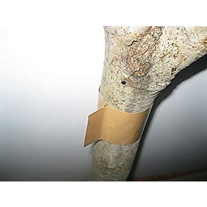 Gypsy Moth/Tent & Oakworm Caterpillar Tree Band Barrier Tape Protection