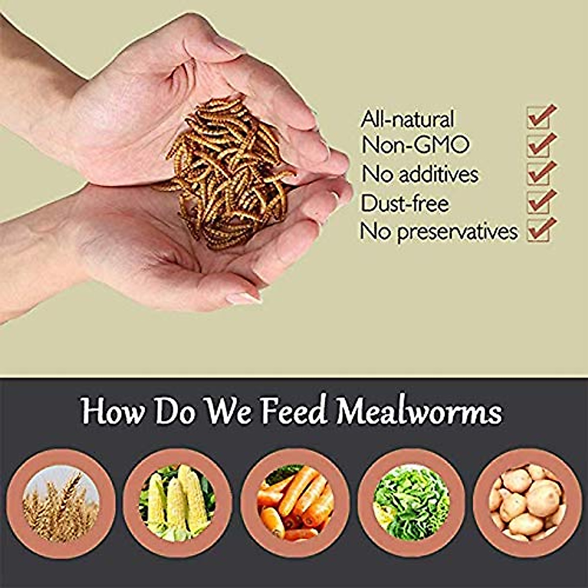 HANDPOINT 11 lbs Dried Mealworms, 100% Non-GMO Natural High-Protein,Treats for Chicken, Fish, Bird Food(11LB)